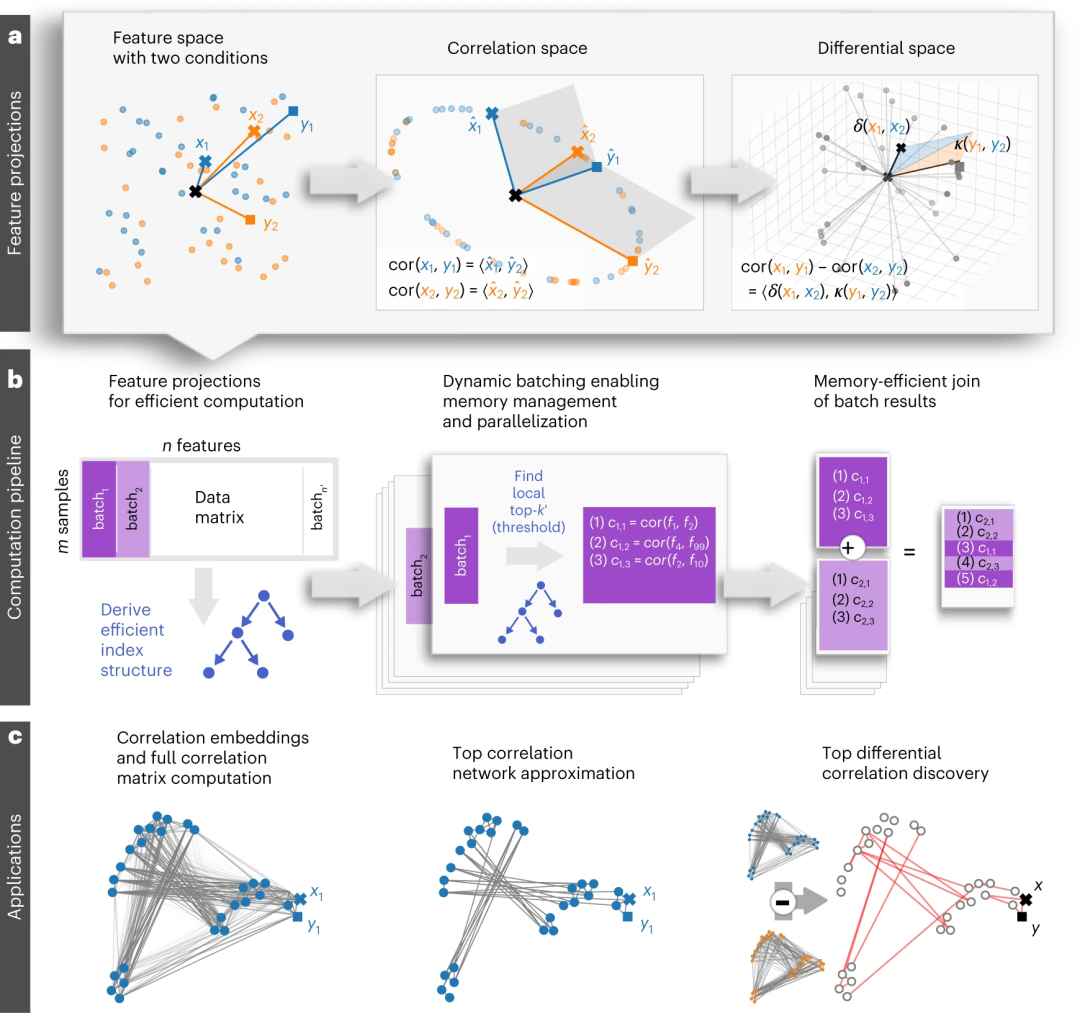Nat Comput Sci.速递：构建生物高维数据集的大型相关性网络 | 集智俱乐部
